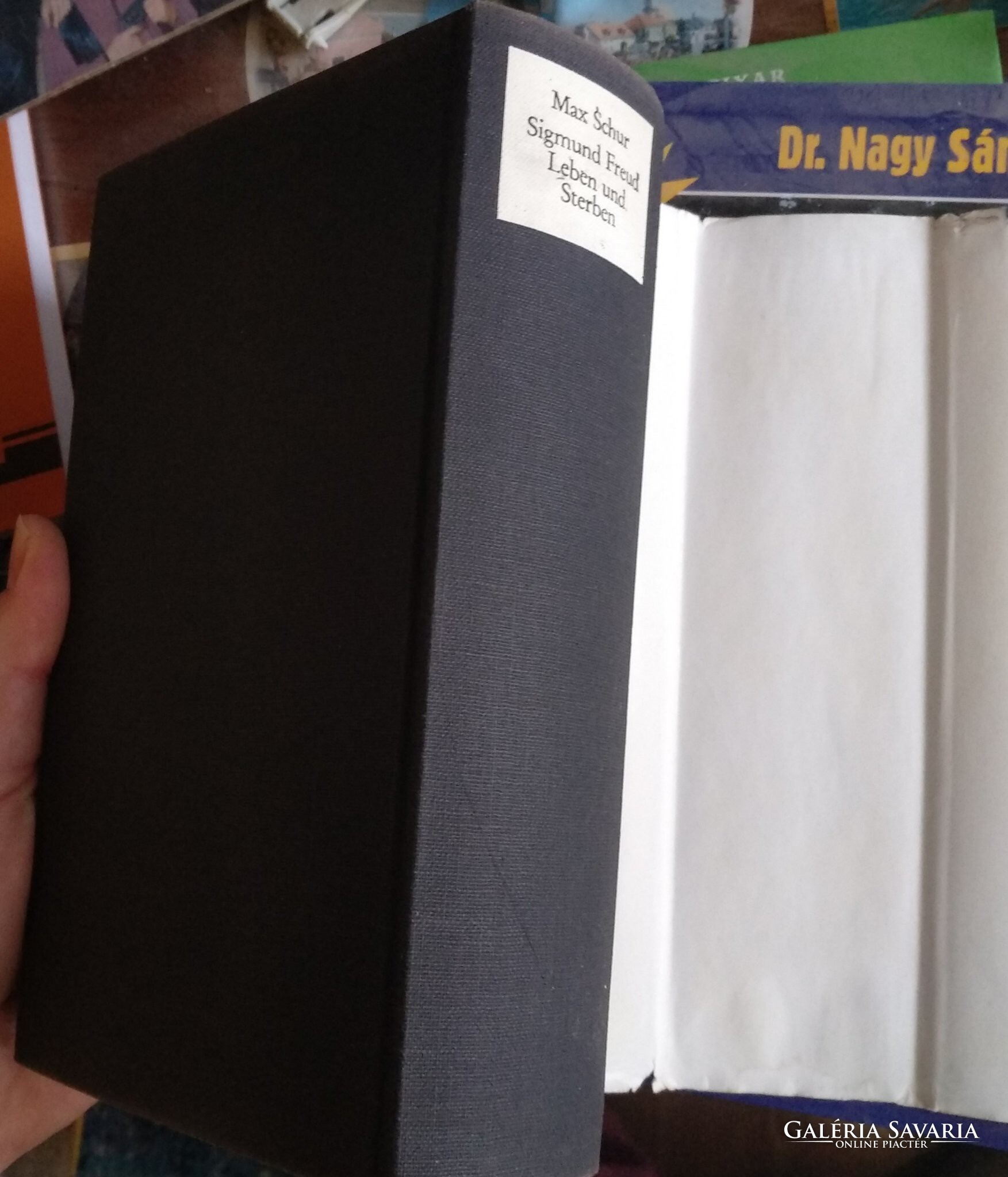 Max Schur: Sigmund Freud leben und sterben, alkudható - Könyv | Galéria ...