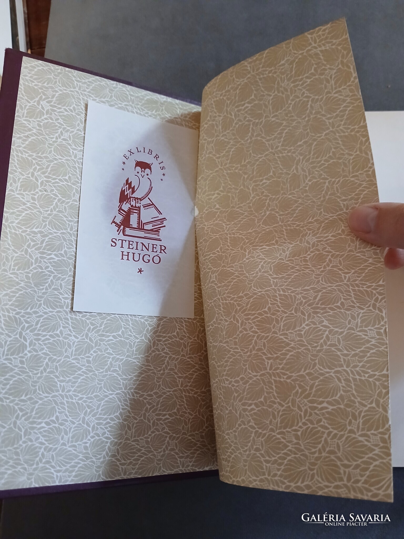 Hedin Sven - Ázsia szívében I.kötet (Magyar Földrajzi Társaság könyvtára) Lampel könyvkiadó váll ...