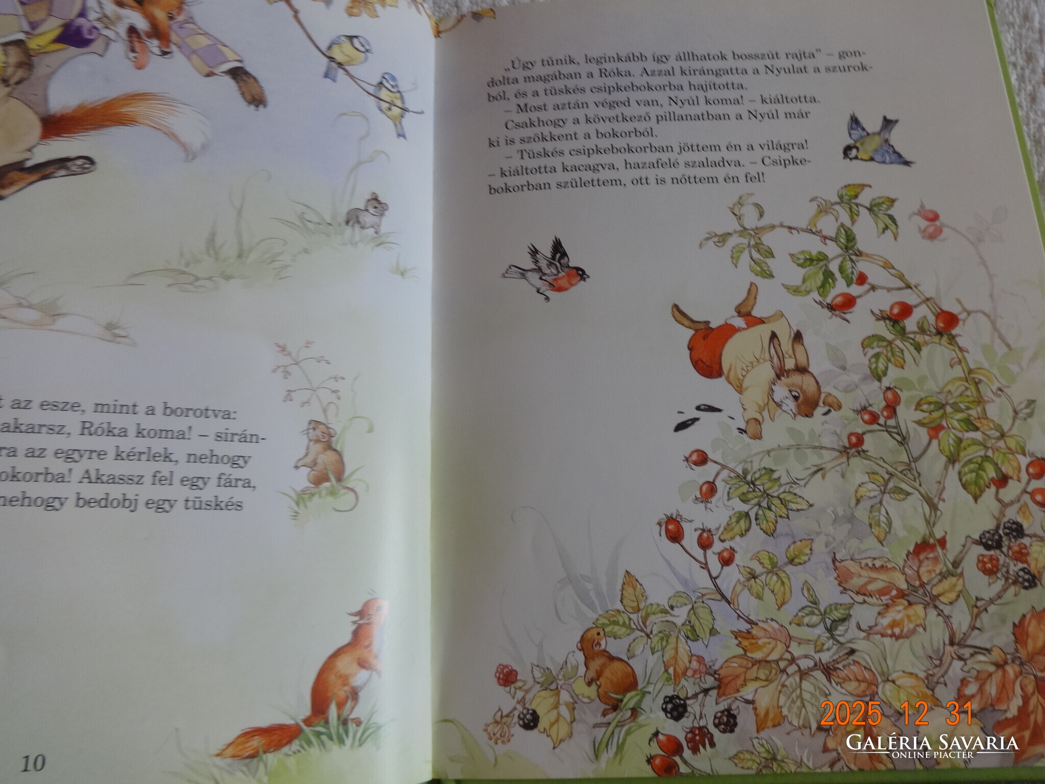 Rene Cloke: A furfangos nyúl meséi - Rémusz bácsi varázslatos meséi ...