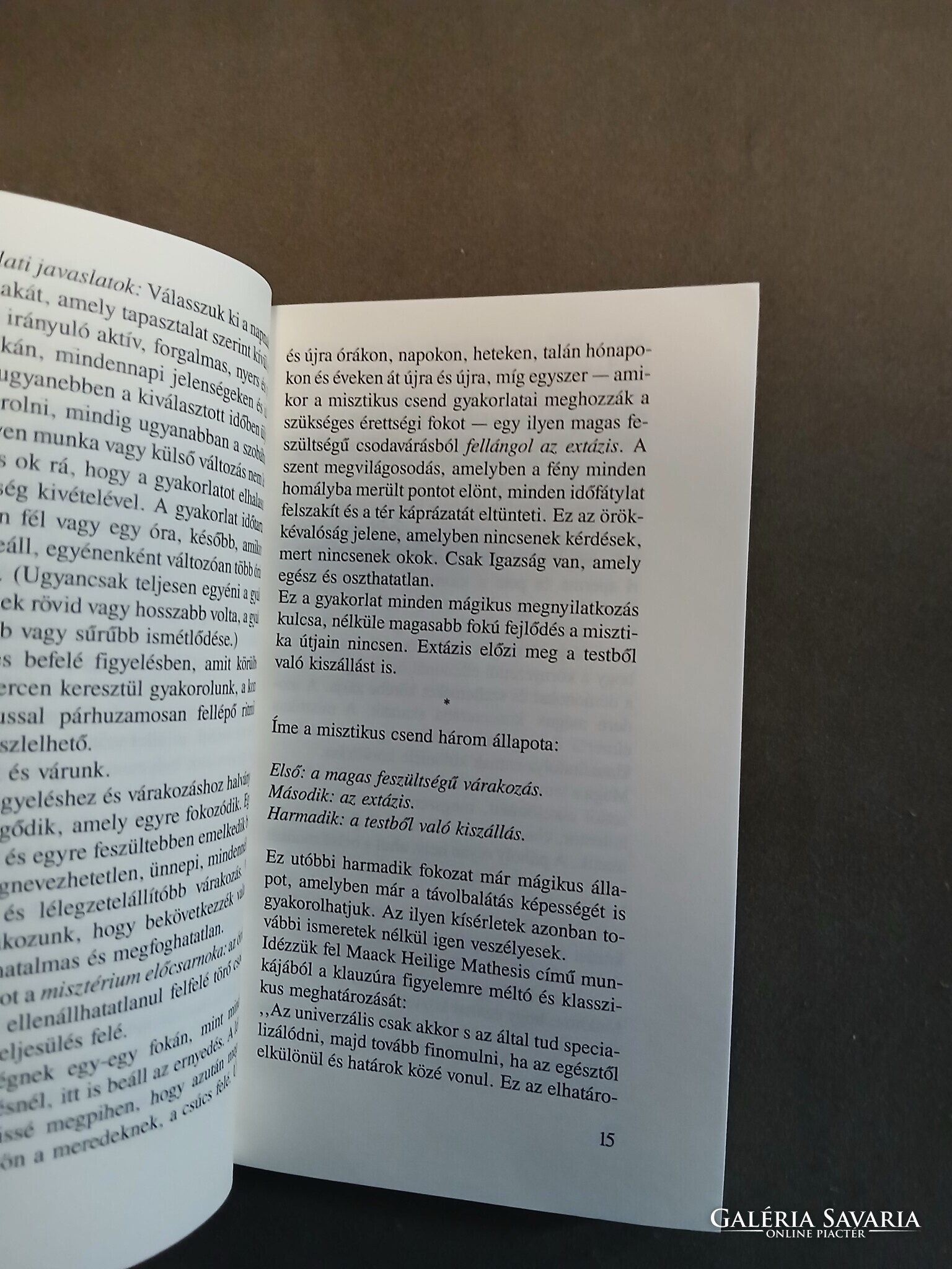 Wictor Charon - A misztikus út - Charon könyvek 2 - Könyv | Galéria ...