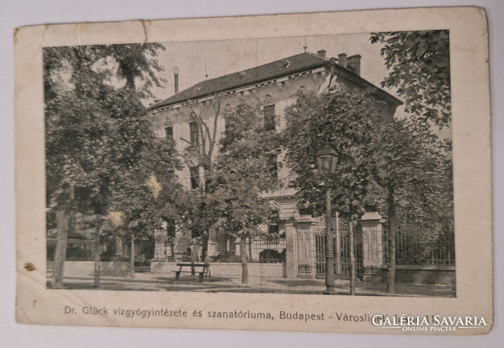 Budapest, Dr Glück vízgyógyintézete és szanatóriuma, Városliget fasor ...