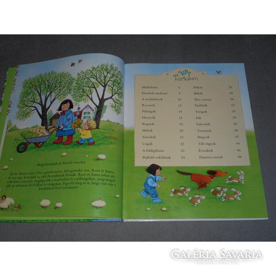 Minna Lacey - Első természetkönyvem - Mesék a tanyáról - Könyv ...