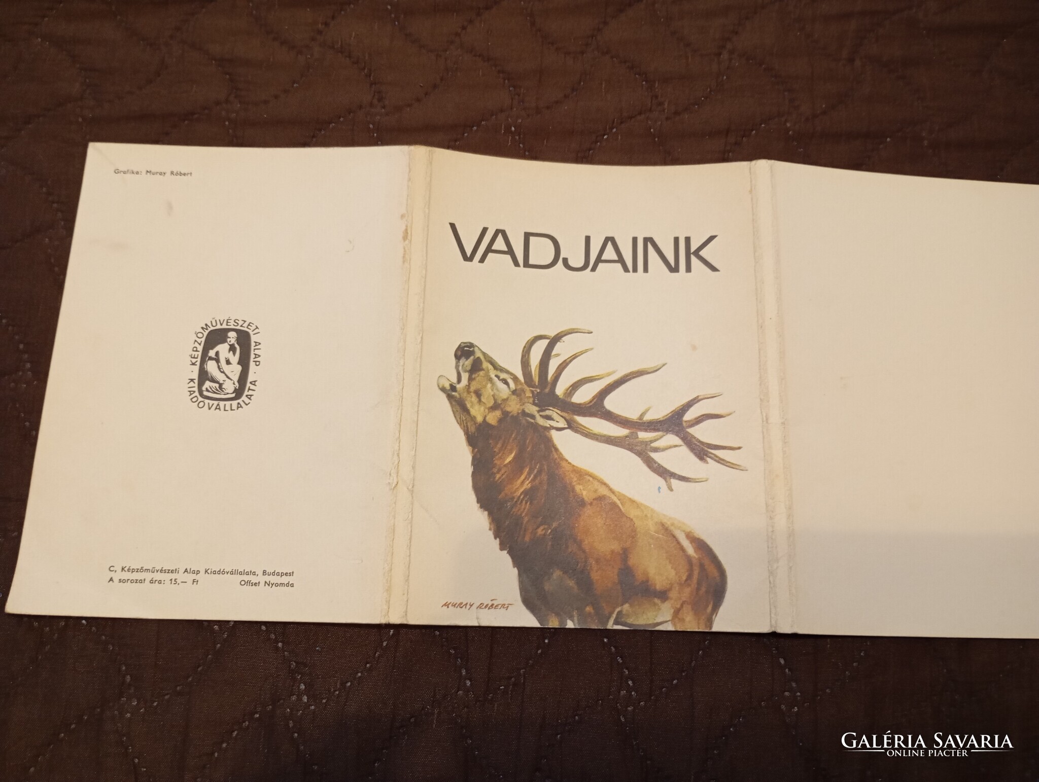 Muray Róbert vadász képeslap gyűjtemény vadjaink - Gyűjtemény | Galéria ...