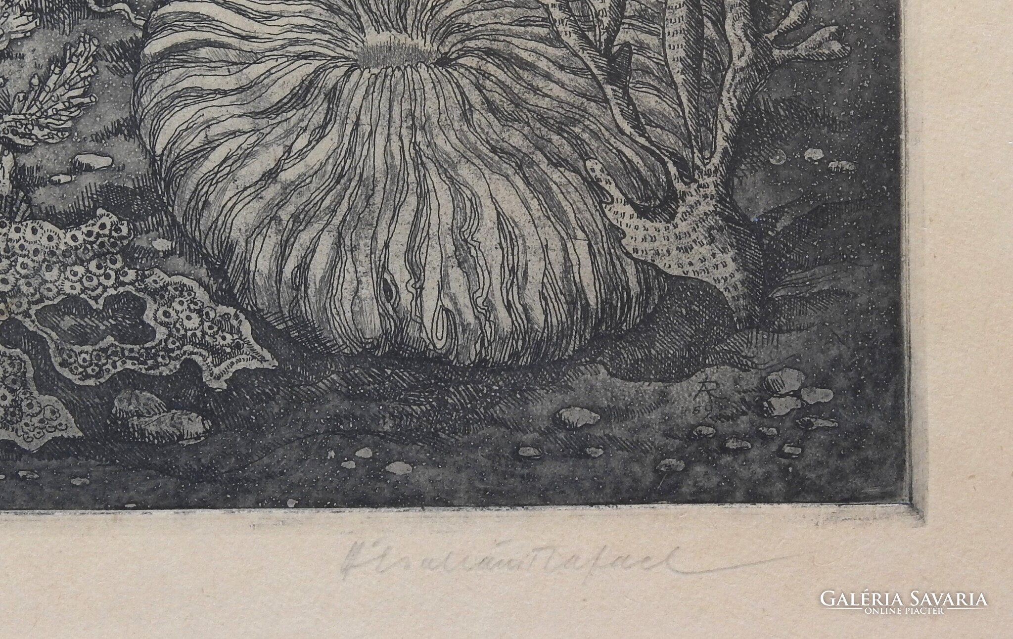 + Ábrahám Rafael : Napba néző - Kép, grafika | Galéria Savaria online ...