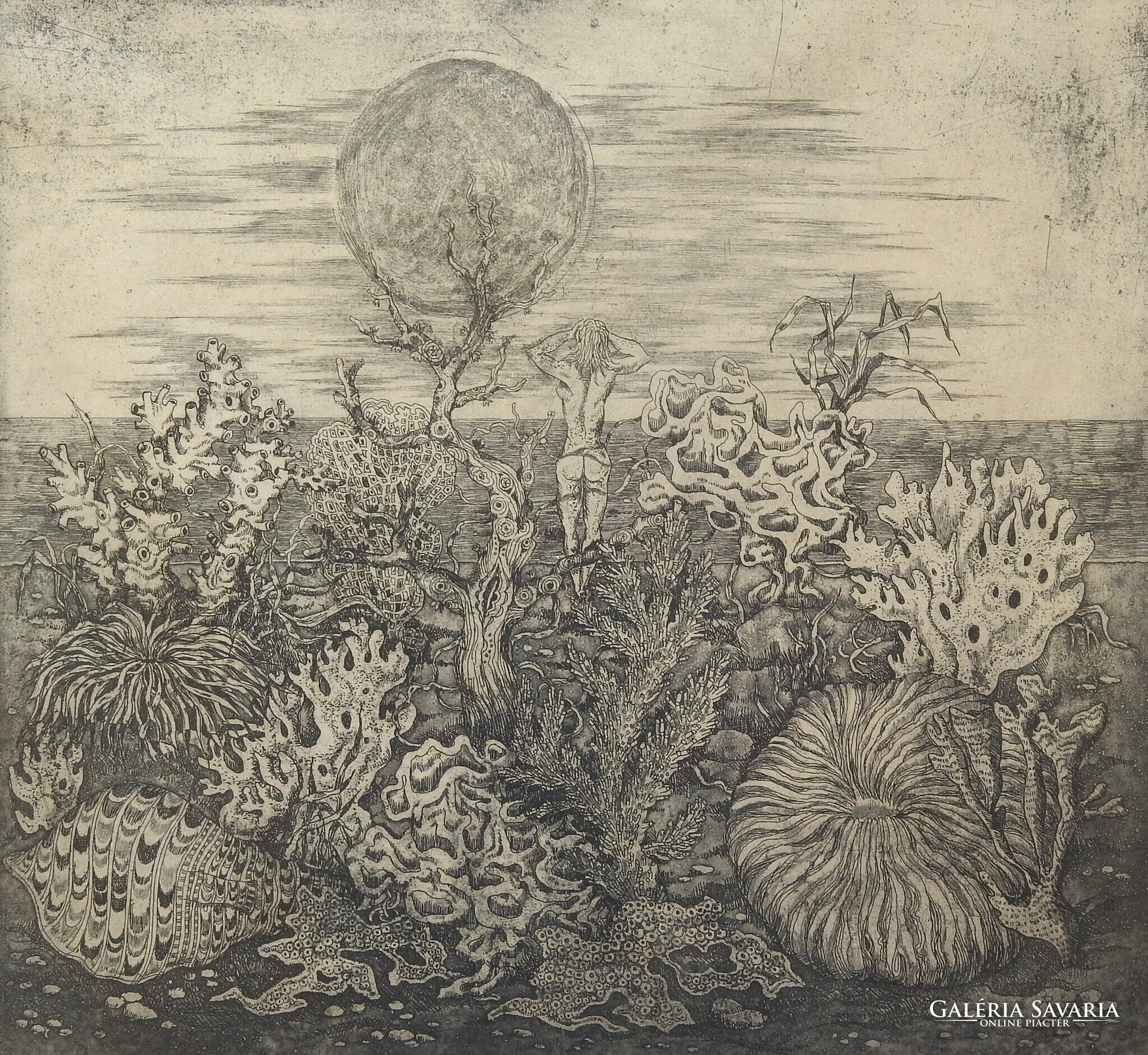 + Ábrahám Rafael : Napba néző - Kép, grafika | Galéria Savaria online ...