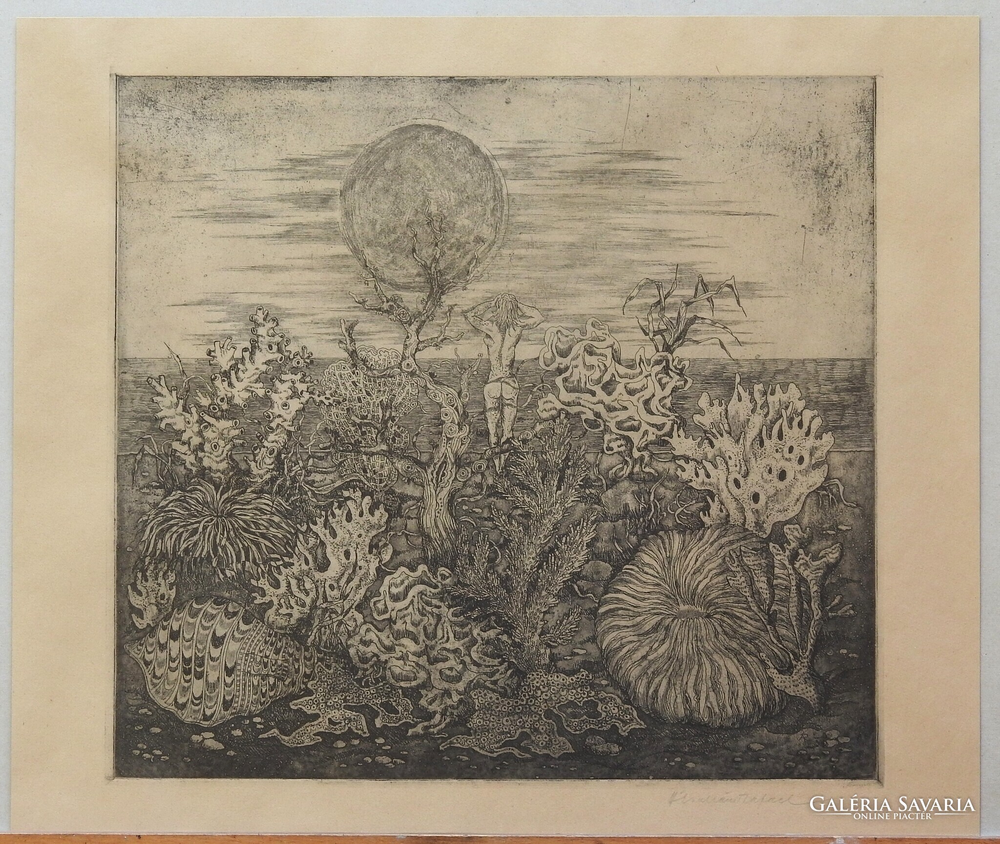 + Ábrahám Rafael : Napba néző - Kép, grafika | Galéria Savaria online ...