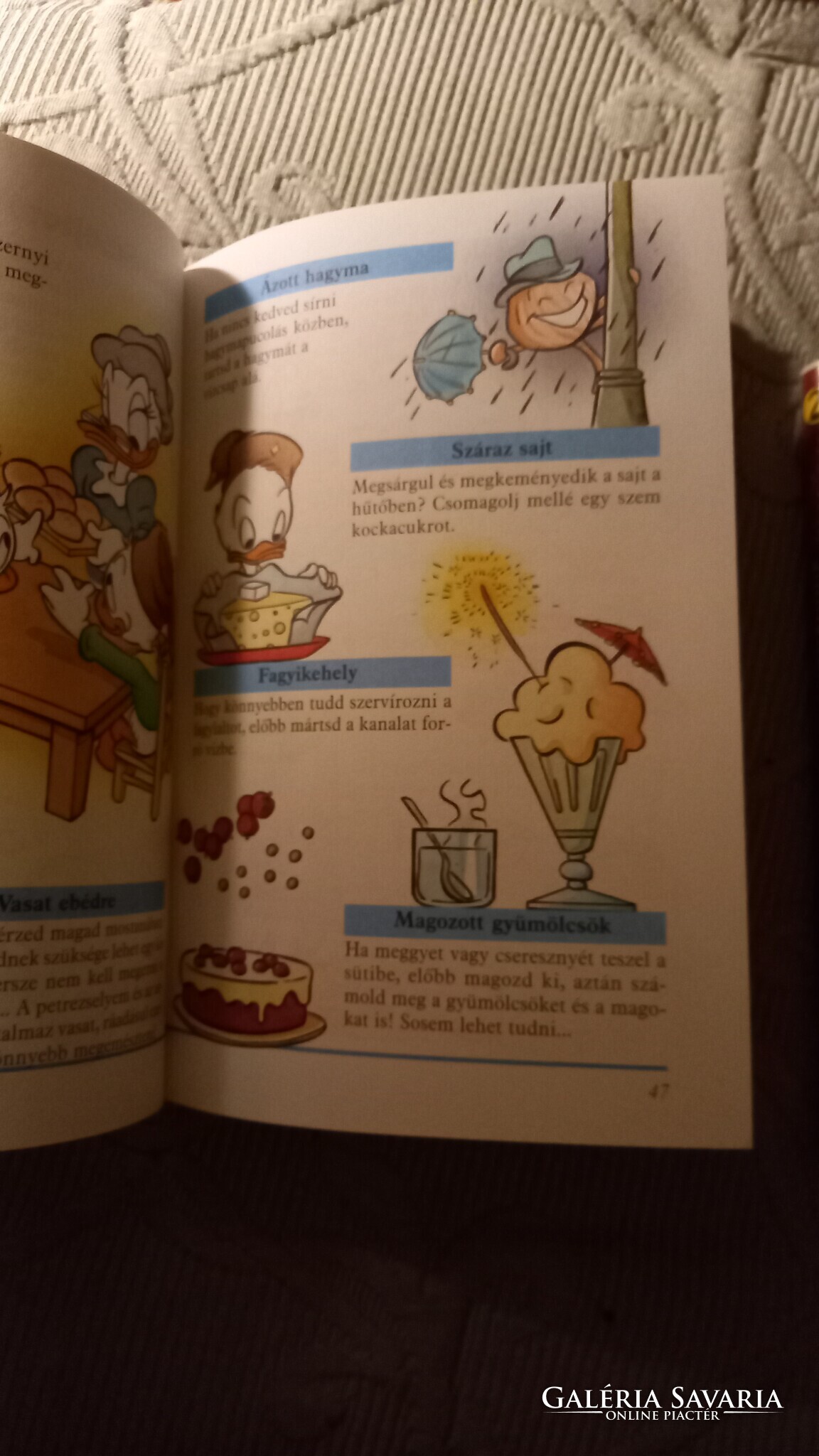 Az ifjú csibészek kalandkönyve 1-2. kötet( Felnőttek nem láthatják ...