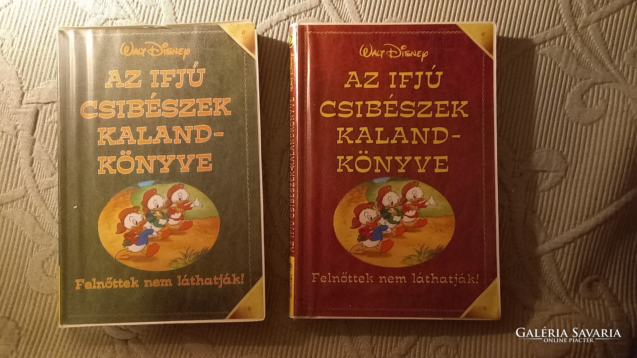 Az ifjú csibészek kalandkönyve 1-2. kötet( Felnőttek nem láthatják ...