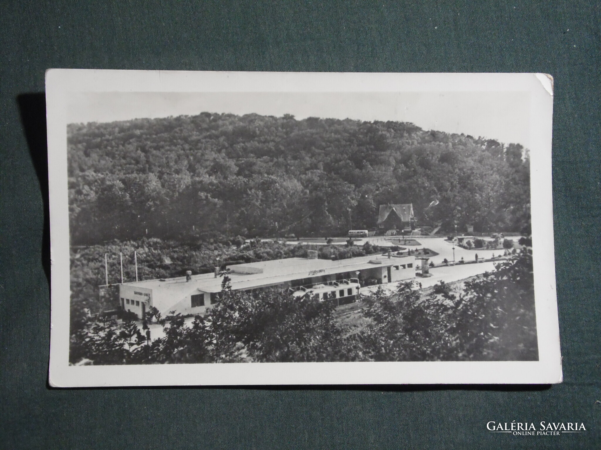 Képeslap,Budapest Úttörővasút,Ságvári liget állomás,mozdony,szerelvény ...