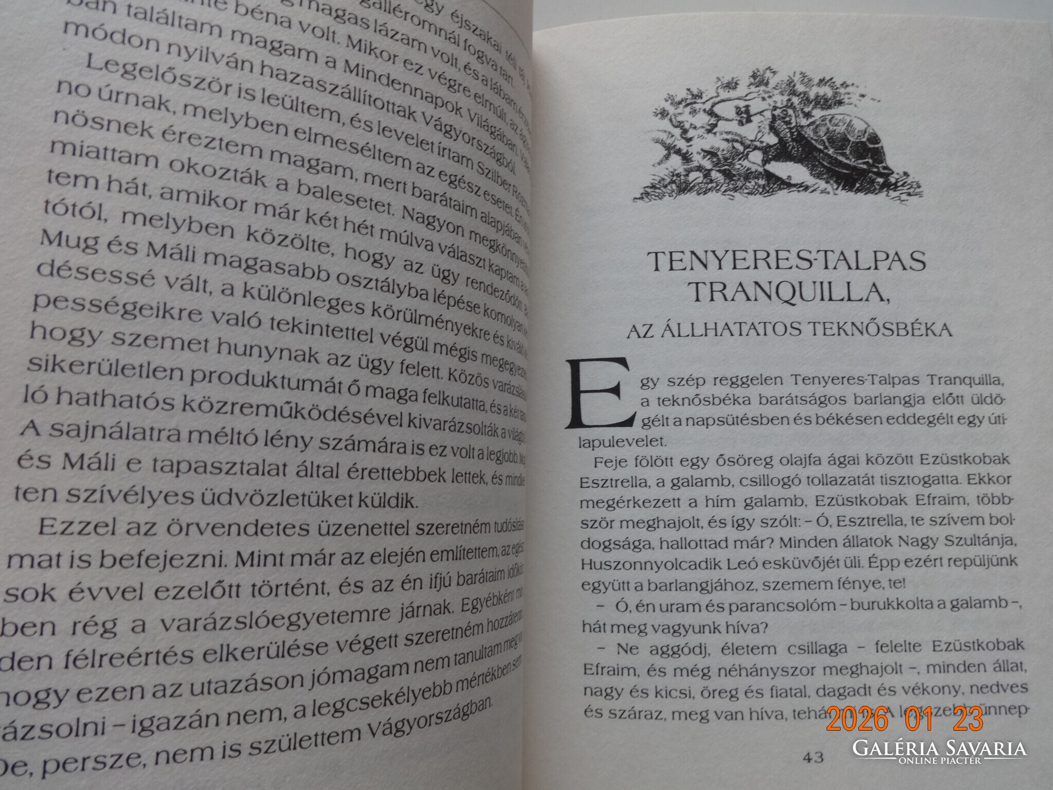 Michael Ende: A VARÁZSLÓISKOLA és egyéb történetek - Bernhard Oberdieck ...