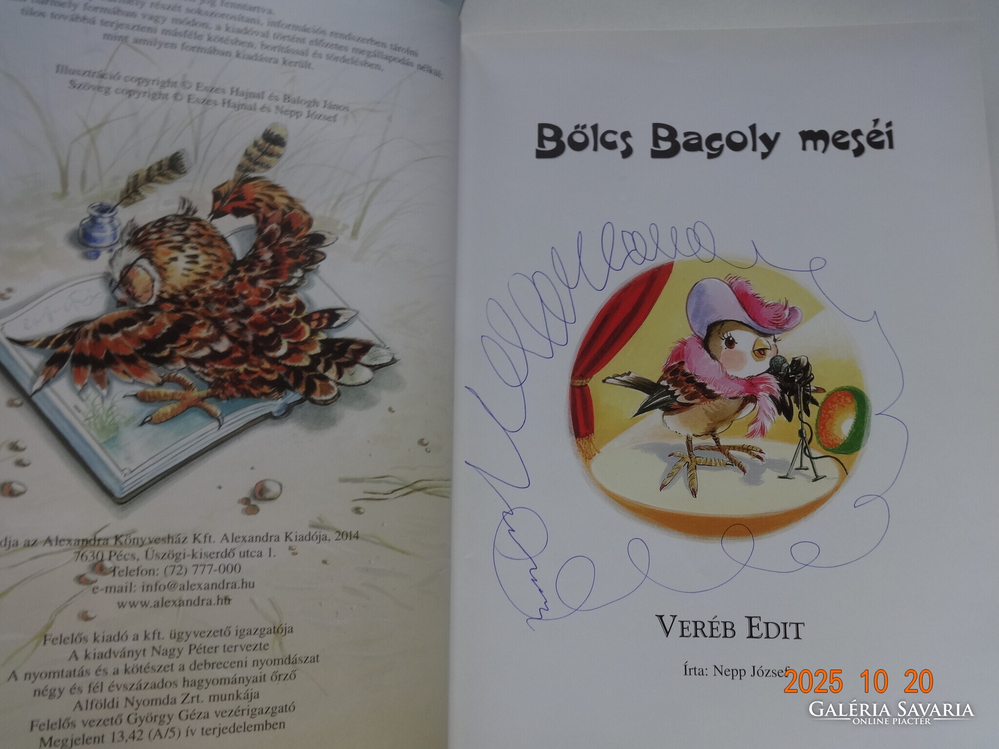 Eszes Hajnal - Nepp József: BÖLCS BAGOLY MESÉI - Könyv | Galéria ...
