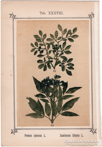 Régi antik revolver szabadalmi rajz Mason 1881 klasszikus amerikai ...