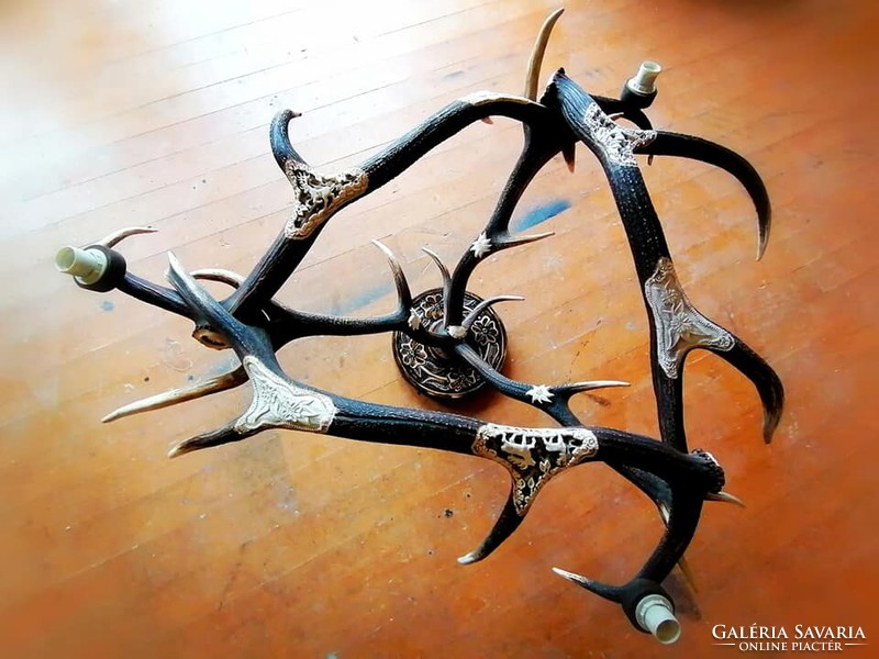 Eladó szarvasagancs | Galéria Savaria online piactér - Vásároljon vagy ...